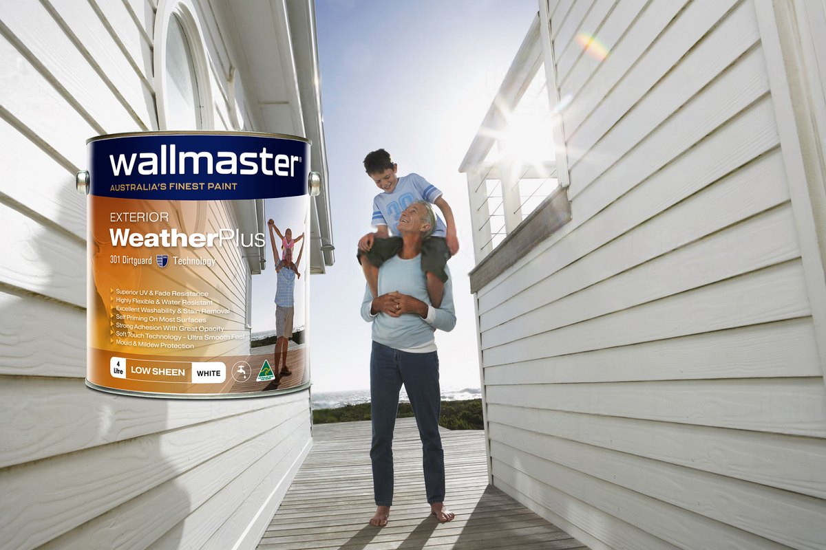 Paint by Wallmaster Paints